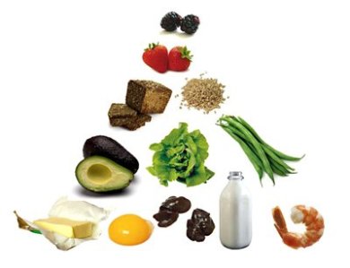 Real Foods Pyramid Overview – Well Nourished Home